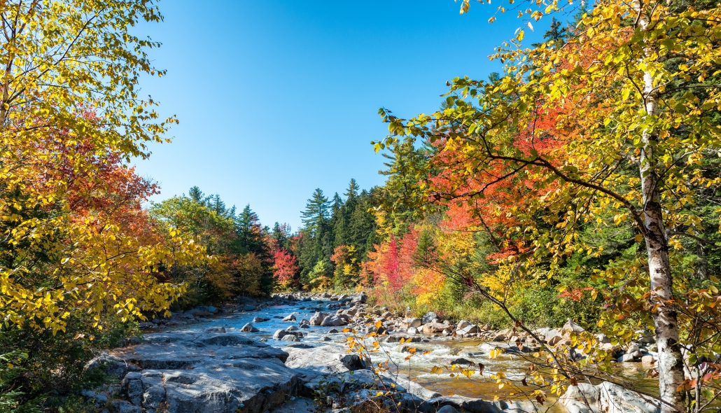 4 of Our Favorite Fall Foliage Hiking Spots in the Northeast!